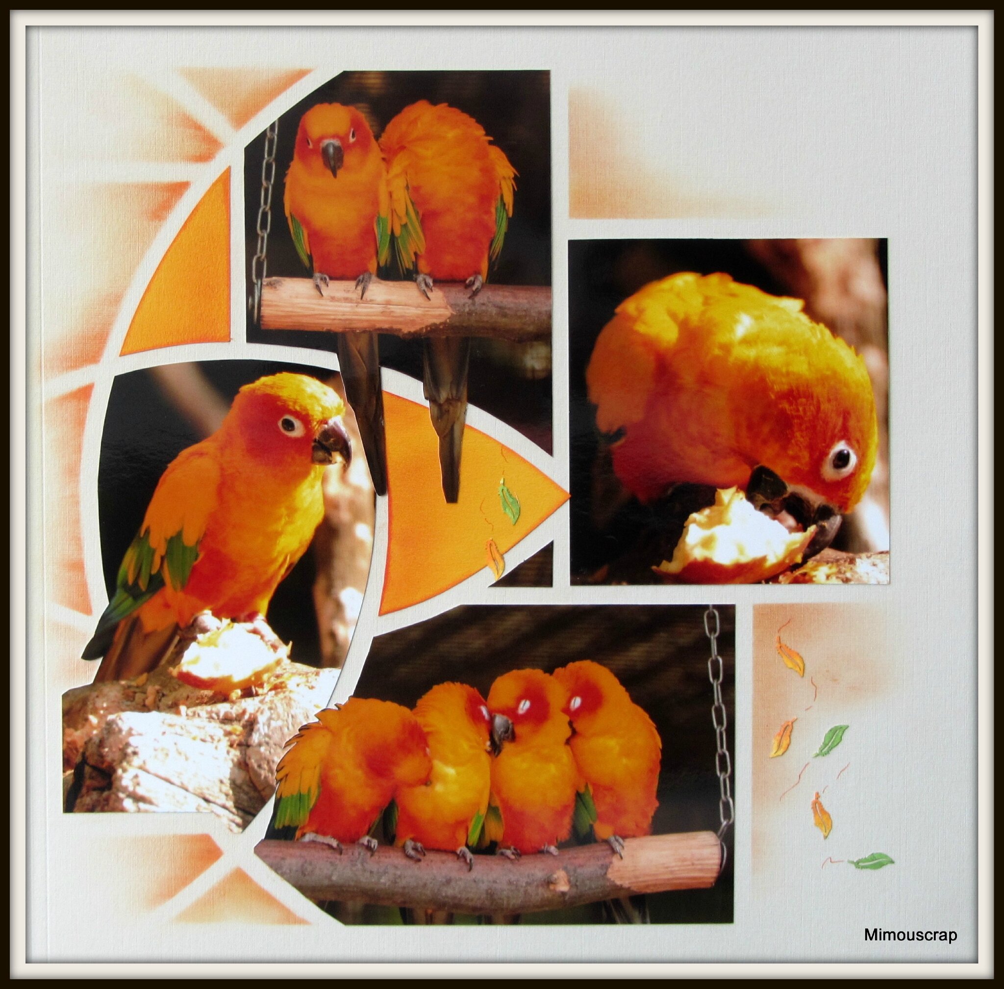 gabarit sofia-lima - Le scrap européen de Mimouscrap