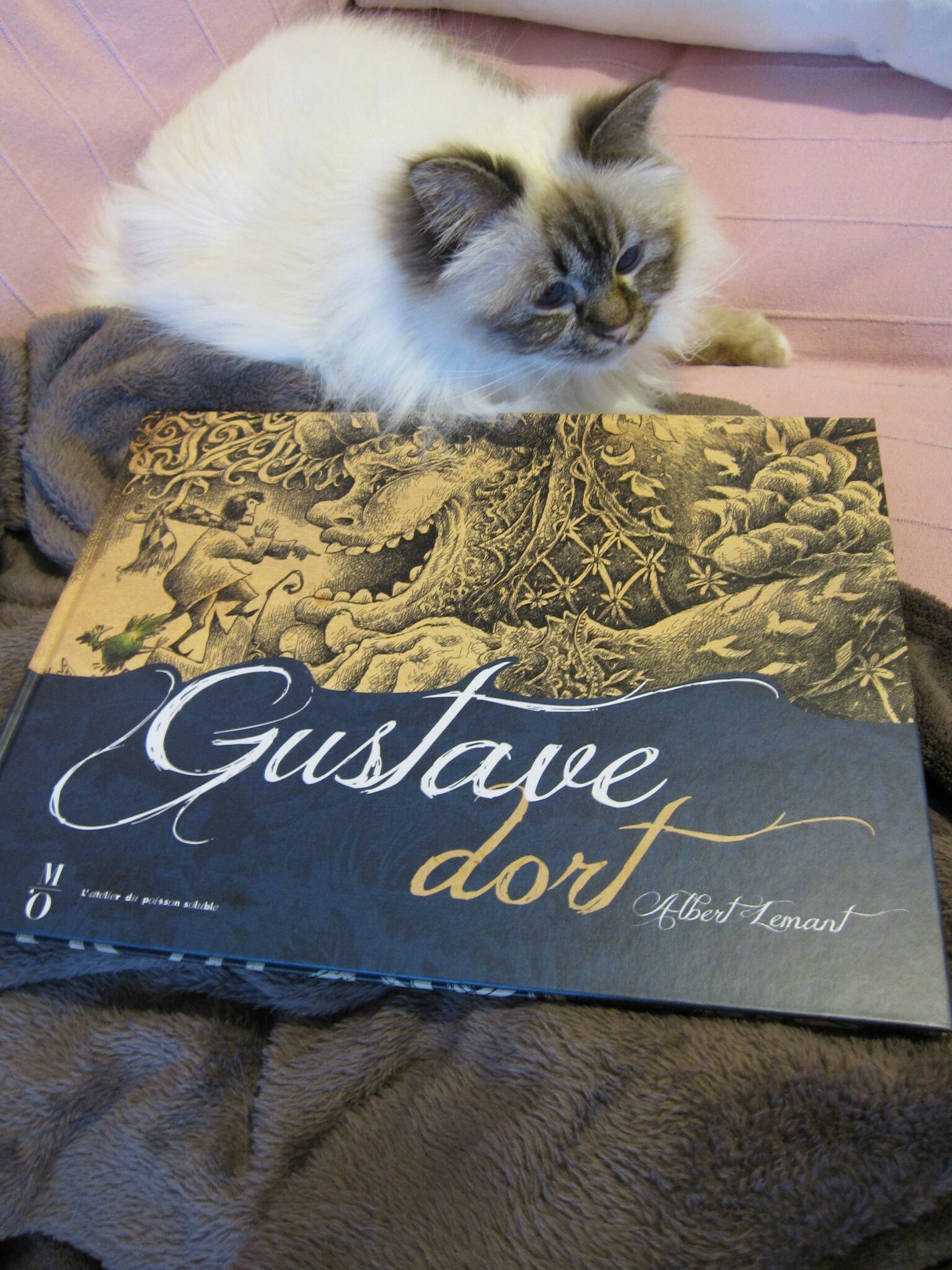 Gustave dort - Albert Lemant - Les riches heures de Fantasia