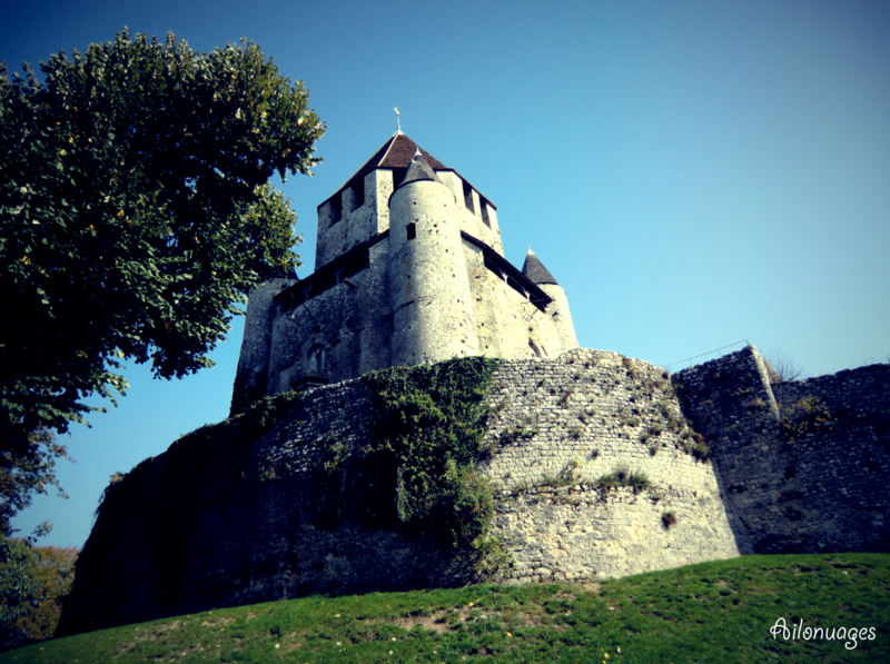 Provins - Seine et Marne (77) - Partie 2/2 * * * - Des Ailes aux Nuages