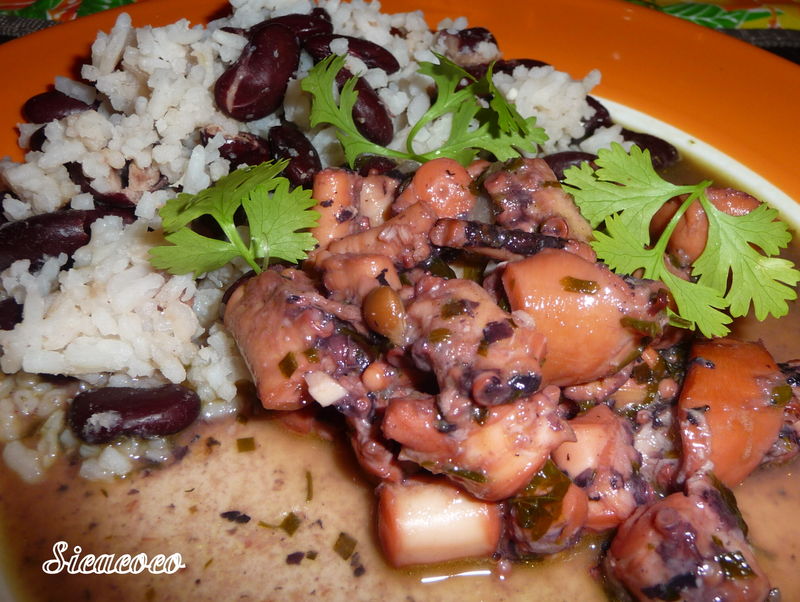 LES CARNETS DE ...SICACOCO