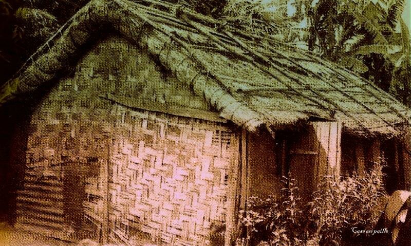 L'histoire de la case en paille (vers 1665 à 1950) par Paul Clodel ...