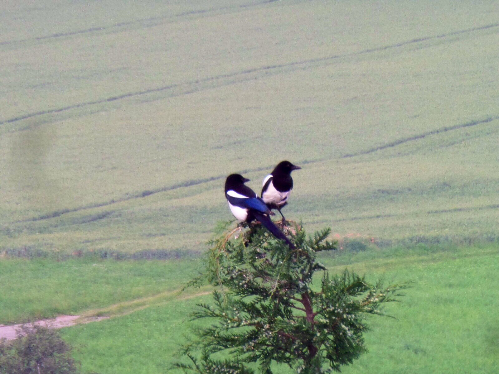 Jeudi.... - Au gré de la plume Jeudi.... - Au gré de la plume