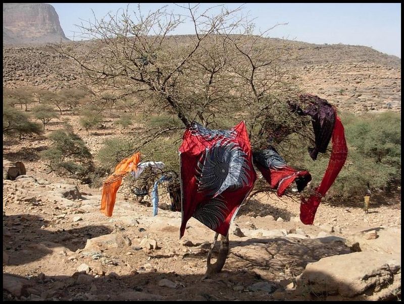 vegetaux - Le dit du Magot - Blog d'un français au Mali