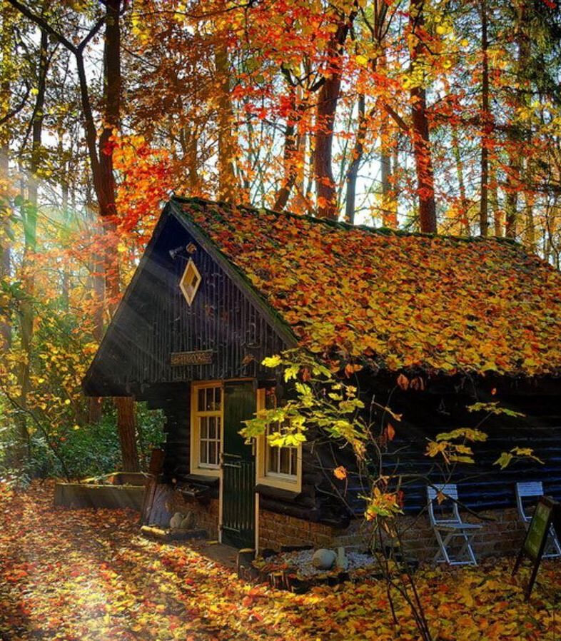 Vacances d'automne - Le cottage de Gwladys