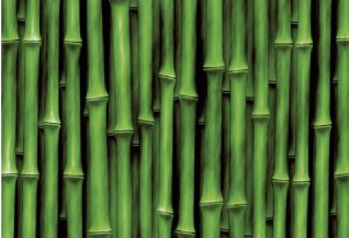 Traits verticaux - La maternelle de Vivi