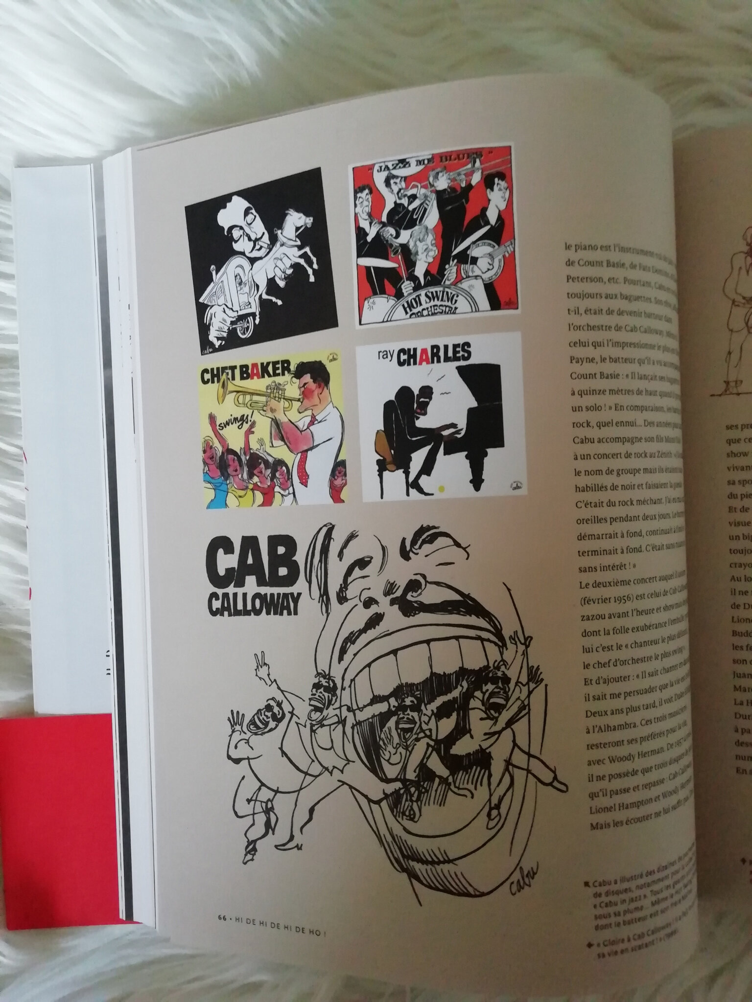 Cabu, une vie de dessinateur: la biographie référence sur un maitre ...