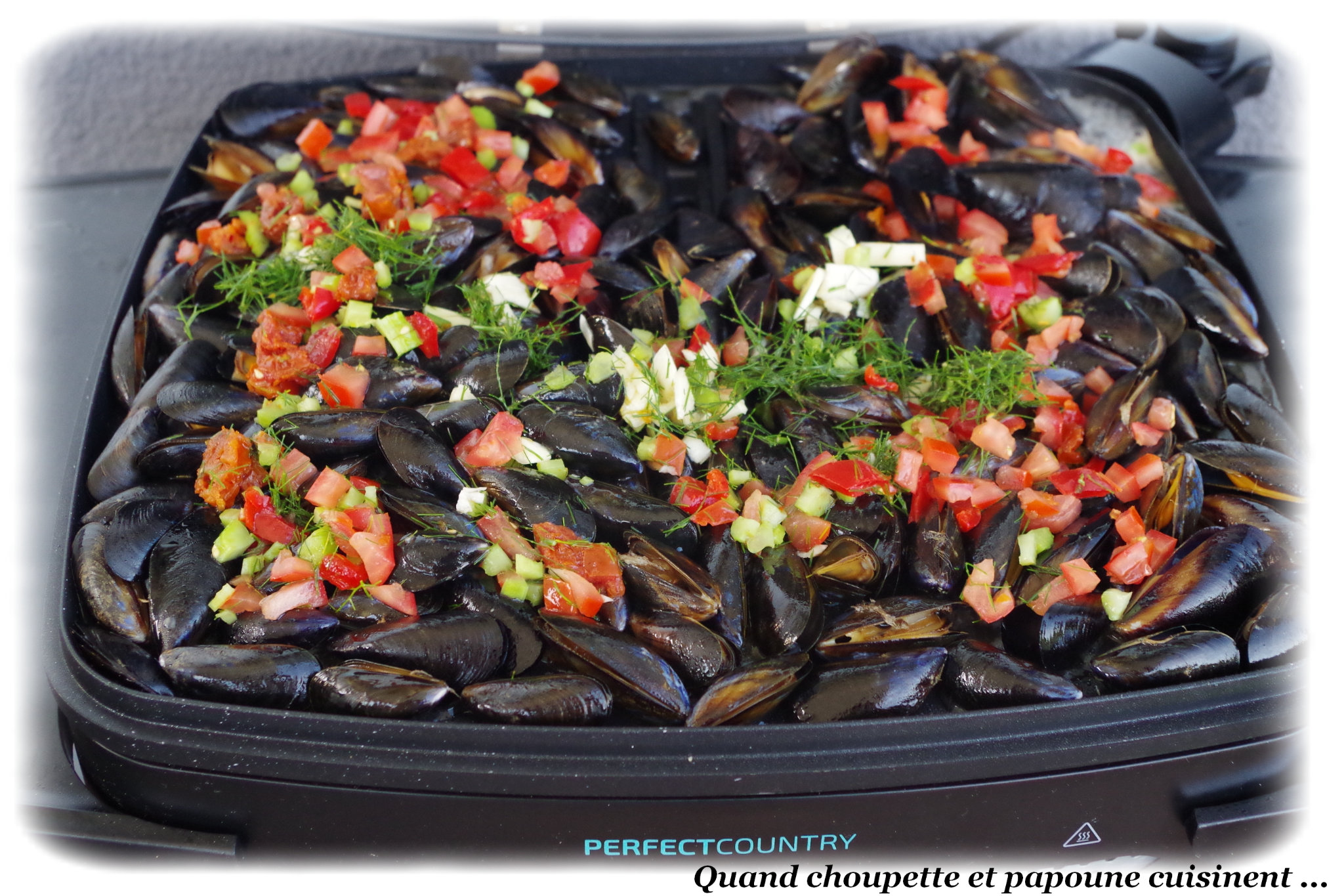 MOULES AU BARBECUE ELECTRIQUE FACON PAPOUNE - Quand Choupette et Papoune cuisinent