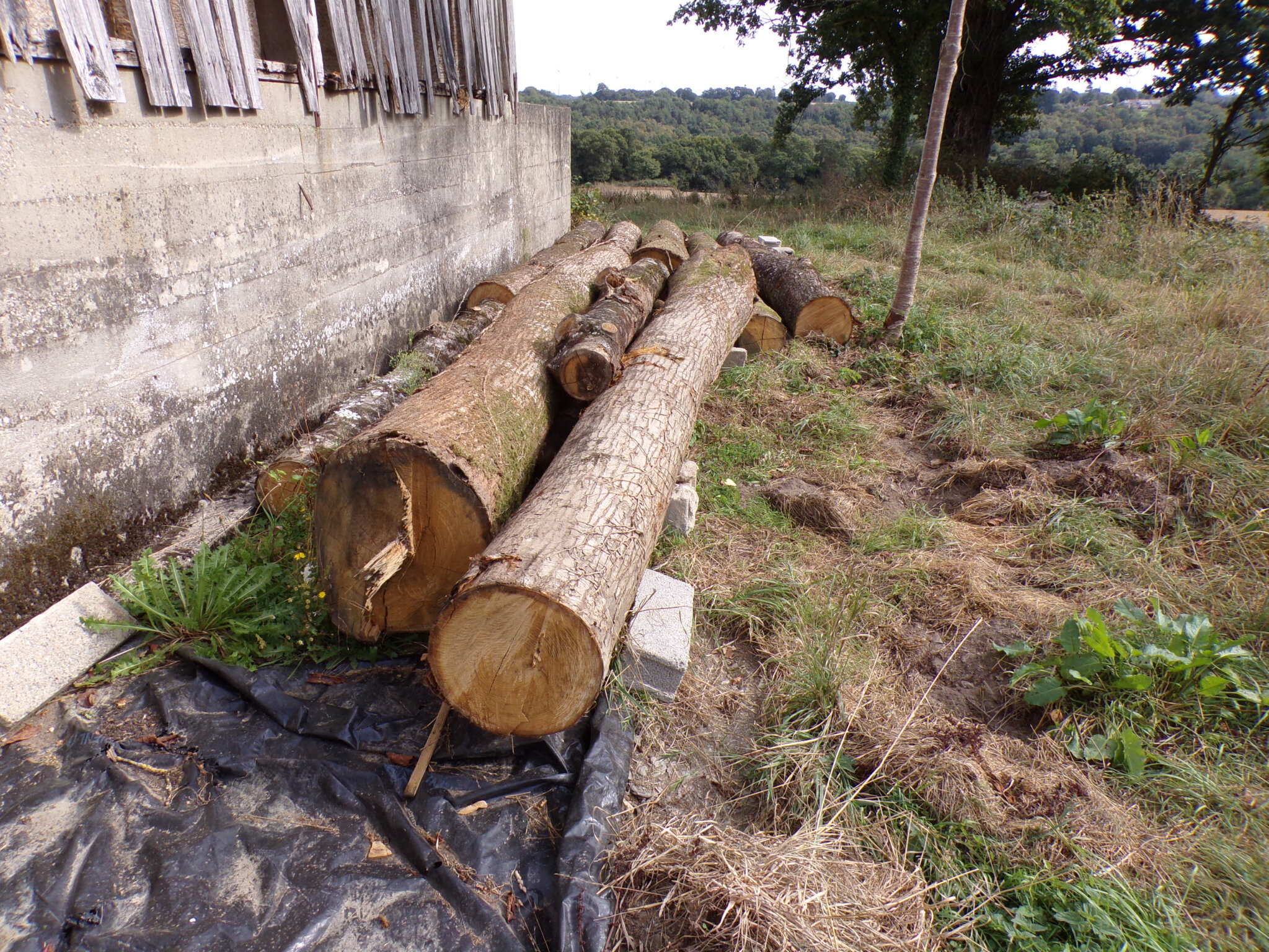 Des grumes. - TREVENALEUC, un manoir breton