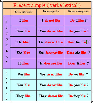 Conjugaison d'un verbe lexical au présent simple - 6 èmes