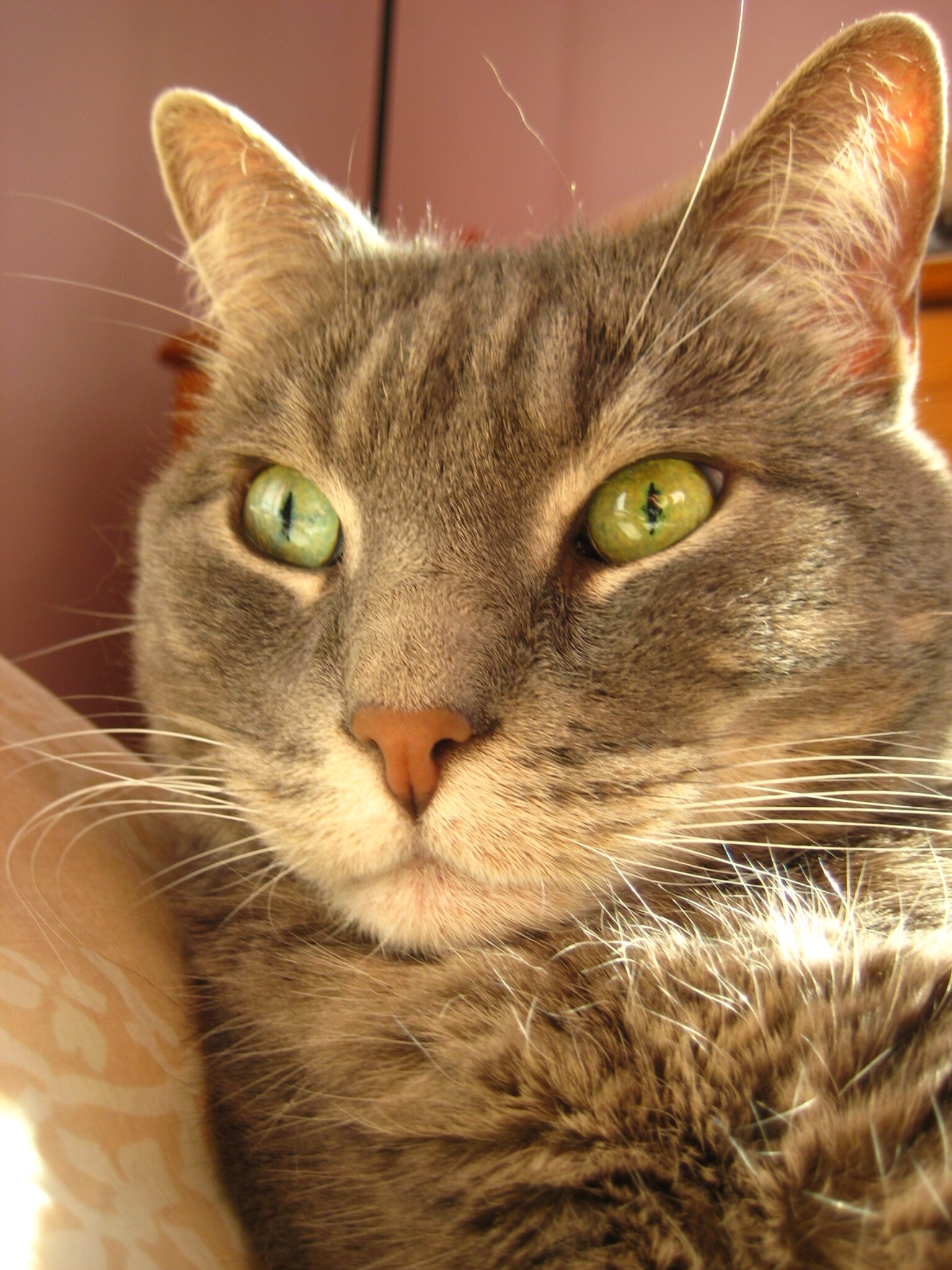 LA DIVA CERAMICS - Création d'objets et de bijoux en céramique.