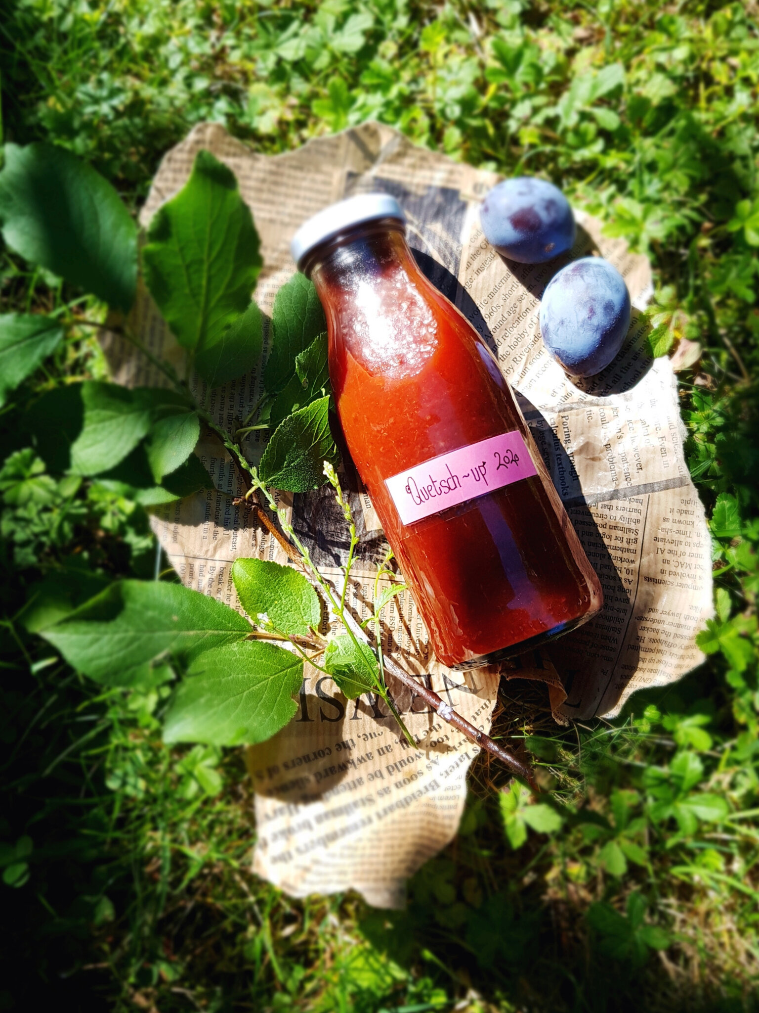 Quetsch 'up le Ketchup Alsacien venu de Géorgie - Les recettes de l ...