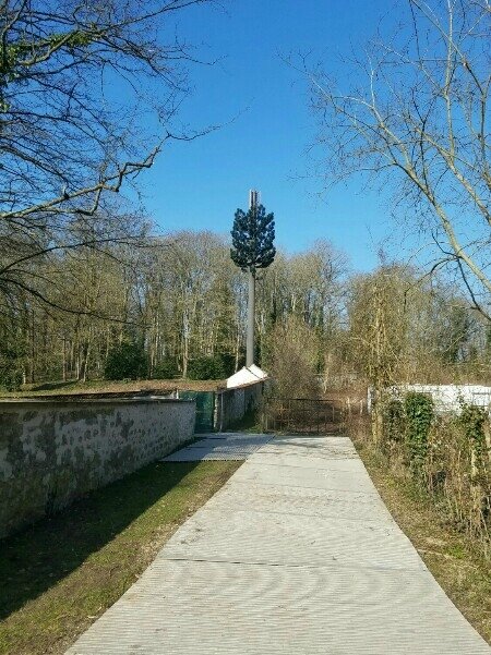 Le pylône arbre s'est fait déplumer... - Le Blog de Daniel HUE le Crouycien