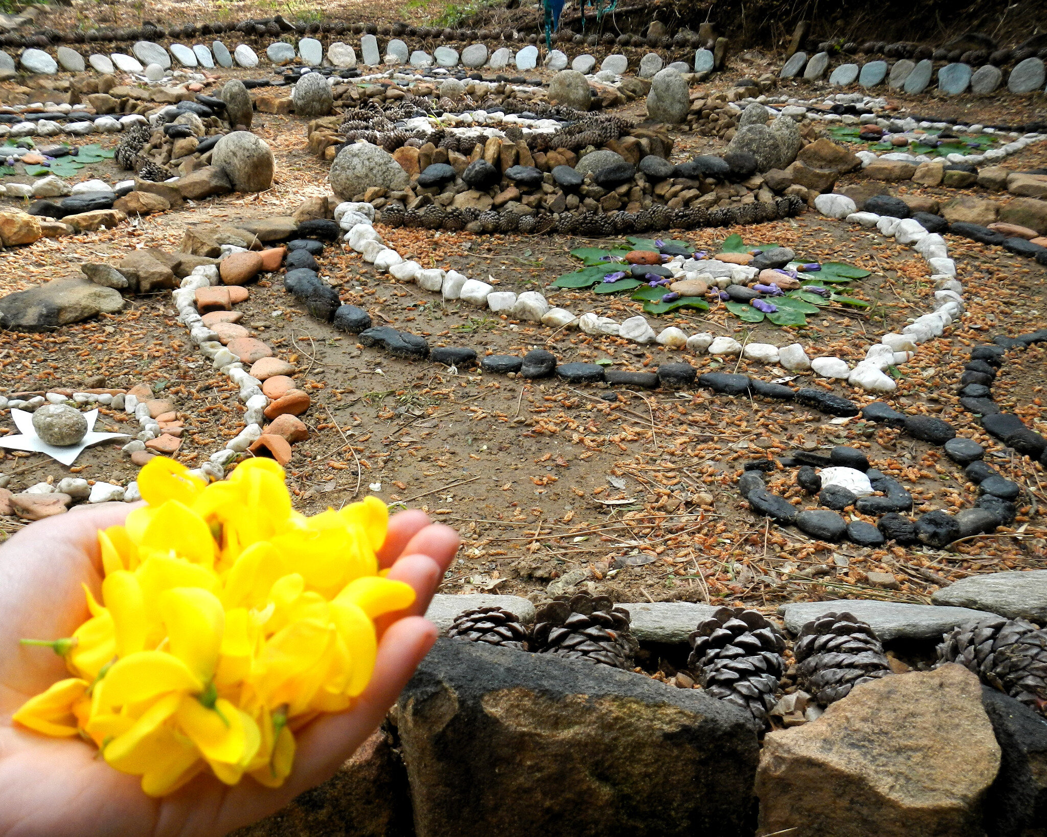 Roue de medecine - YURTAO, la voie de la yourte.