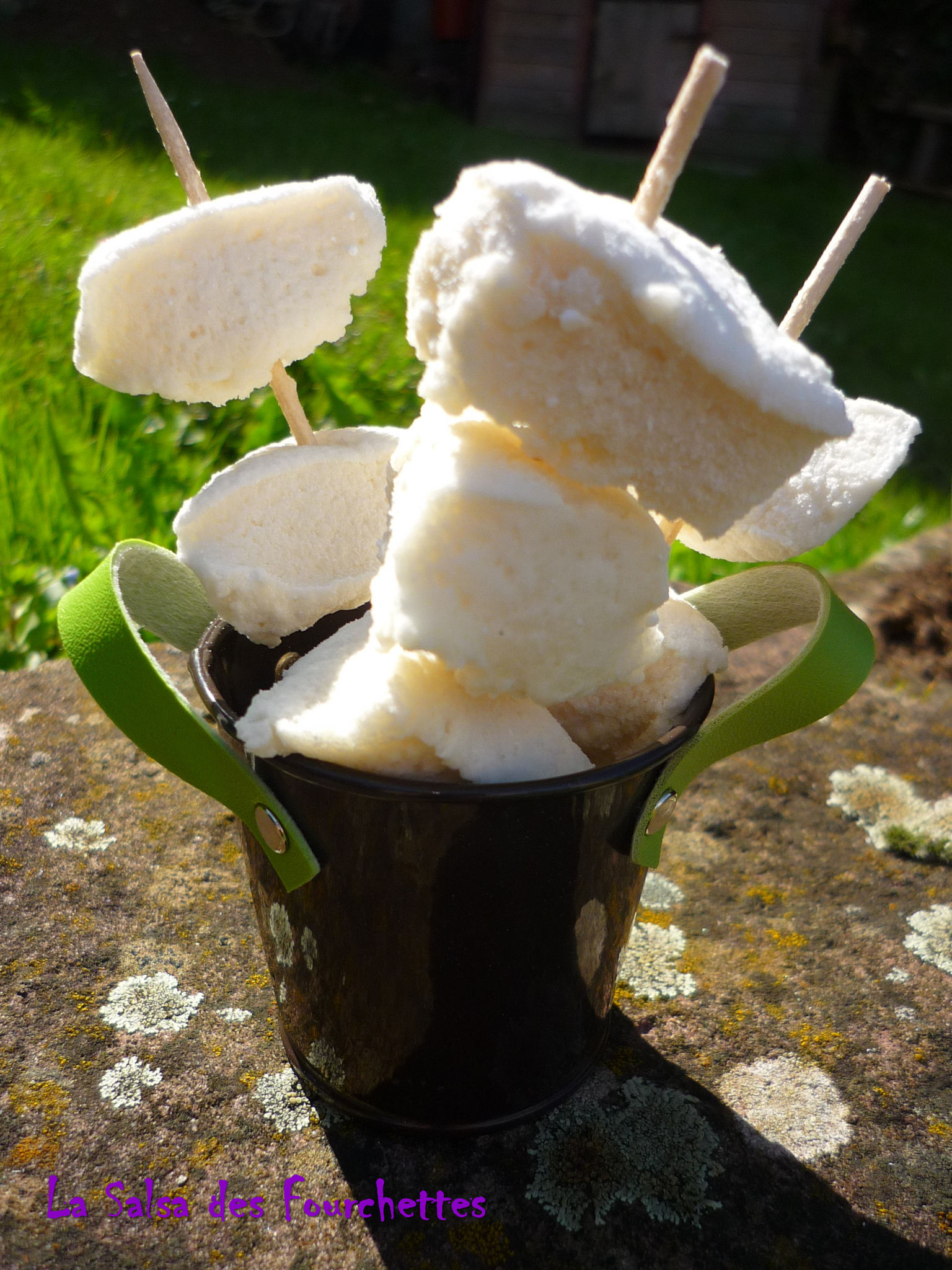 "CHAMALLOW" ... Bouchées à la Guimauve - LA SALSA DES FOURCHETTES