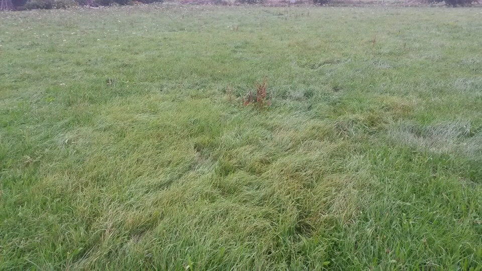 Géobiologie : l'influence d'une cheminée cosmo-tellurique - Géobiologie ...