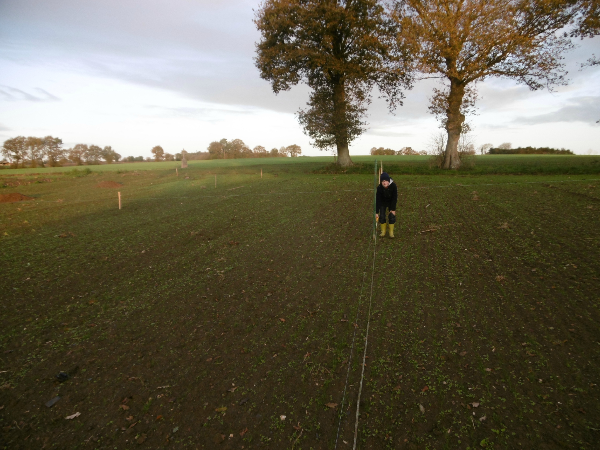 plantation des arbres fruitiers - TREVENALEUC, un manoir breton