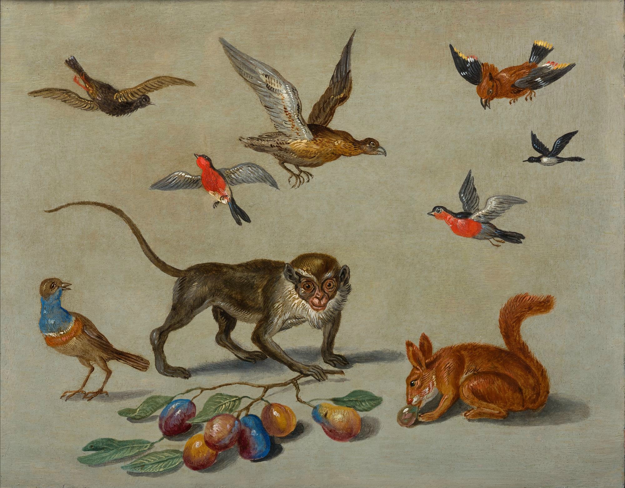 Jan van Kessel The Elder (1626 Antwerp 1679), Birds flying around a ...