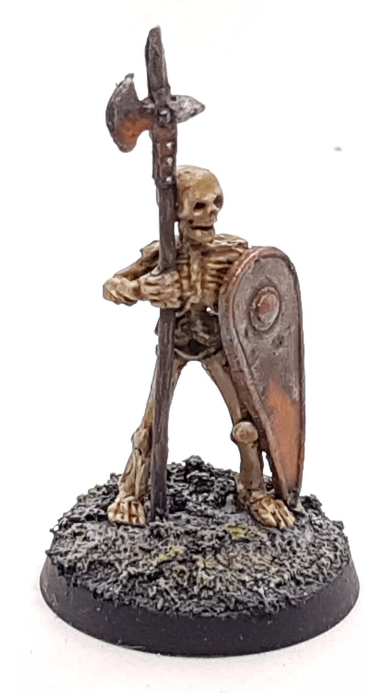 Skeleton with Spear and Shield / Citadel - Une figurine 25 mm ...