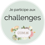 Challenge Com.16 - LiliScrap