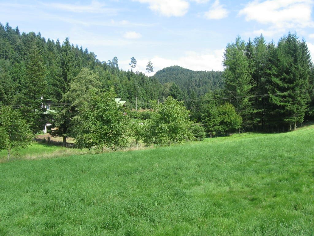 Le train touristique d'Abreschviller - Dans Ma Bonjotte