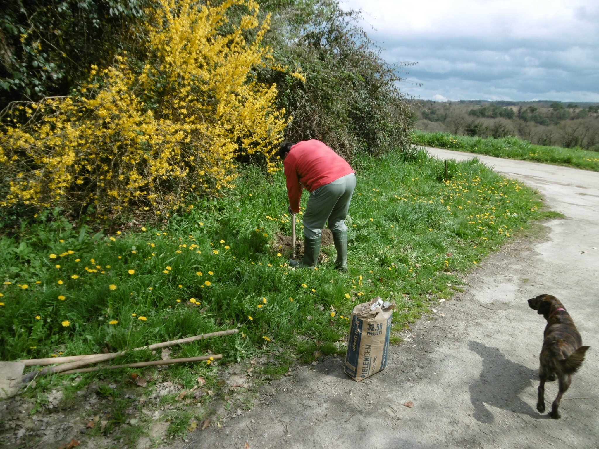 mise en place des poteaux - TREVENALEUC, un manoir breton