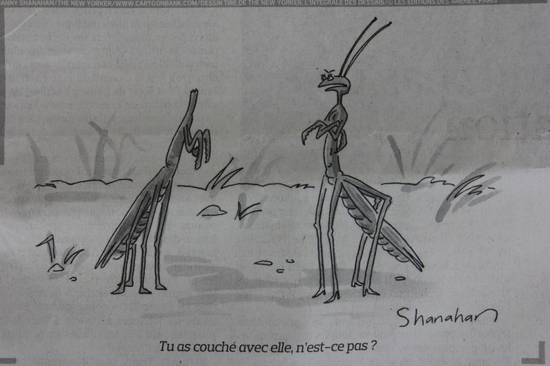 Vision sans tête et amour (et humour) - Eveil et philosophie, blog de ...