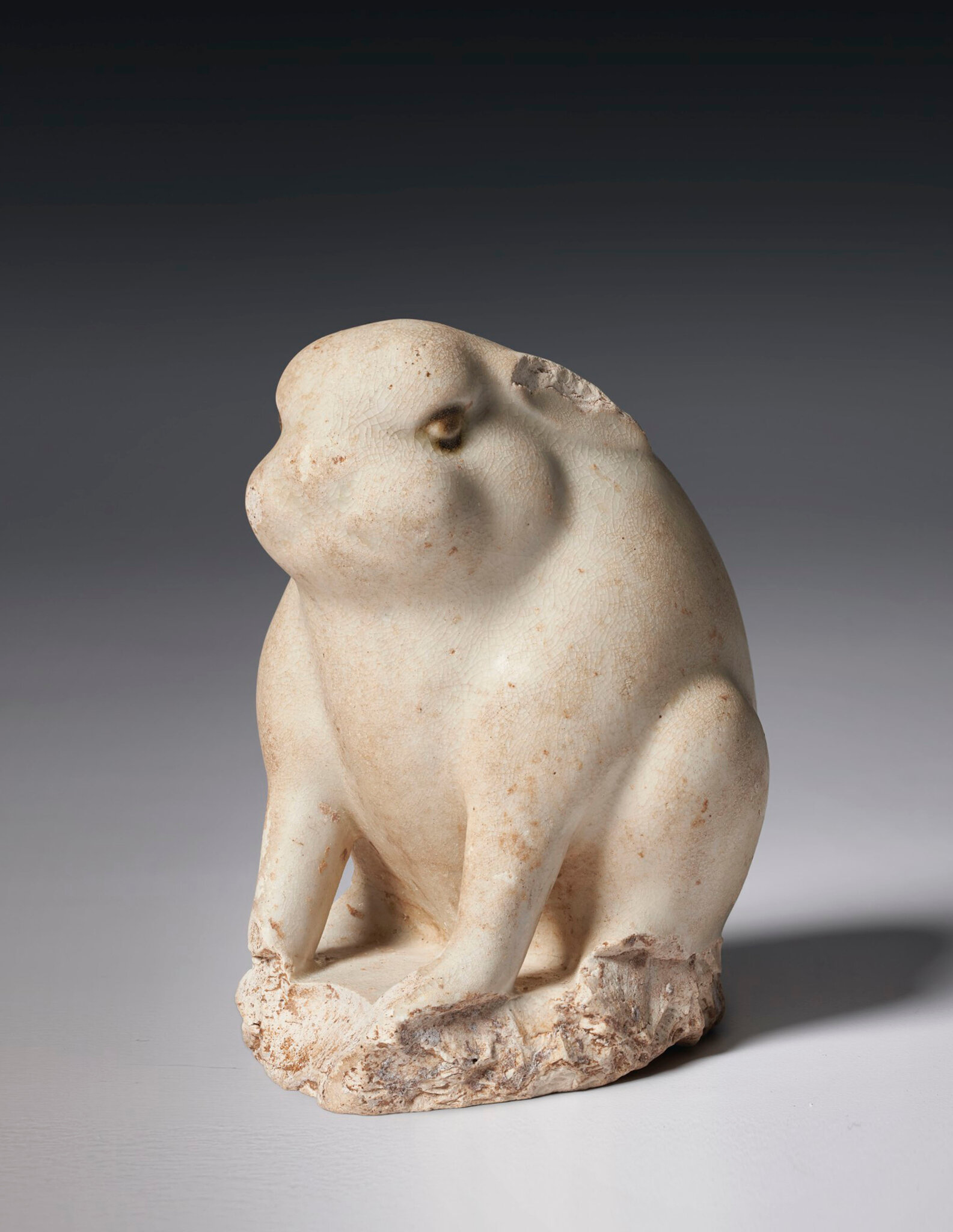 rabbit - Alain.R.Truong