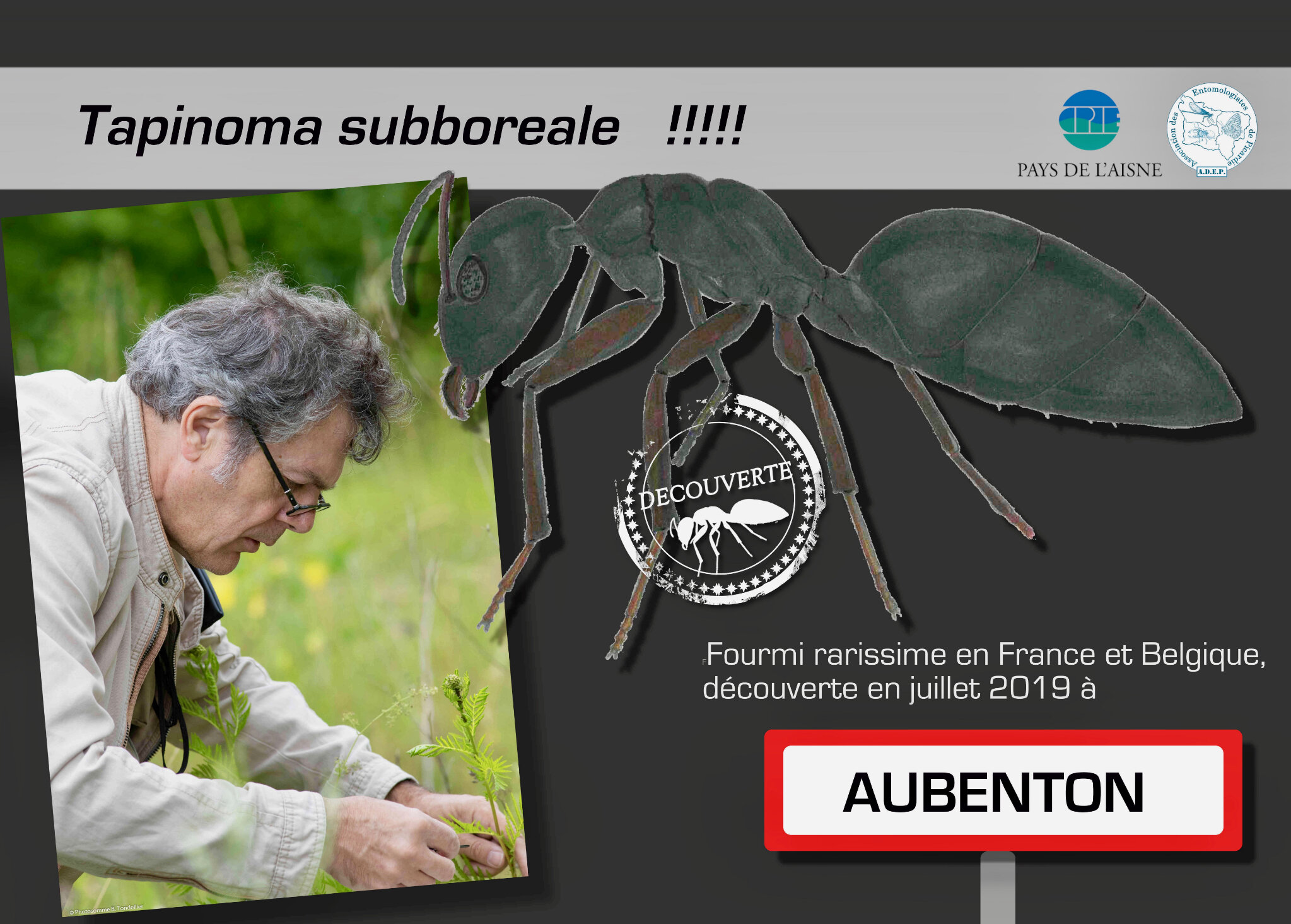 CPIE : UNE FOURMI RARISSIME DÉCOUVERTE A AUBENTON. - Le blog de Jean ...