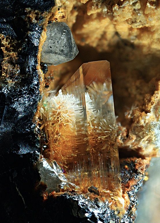 Mimetite needles in Gypsum with grey Cerussite in Galena vug - Alain.R ...