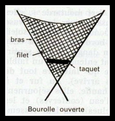 SAINT-JEAN-DE-MONTS (85) - LA PECHE A LA GRENOUILLE DANS LES MARAIS DE ...