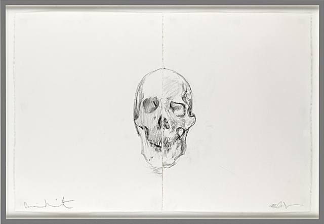 Michael Joo, Untitled skull drawing diptych (1), 2006 - Alain.R.Truong