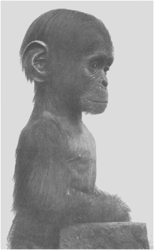 Retour à la case départ - Les voies de l'étrange et du mystérieux