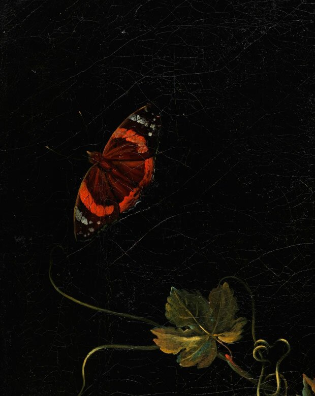 Attributed to Ottmar Elliger (1666-1732), Still life of fruit with crab ...