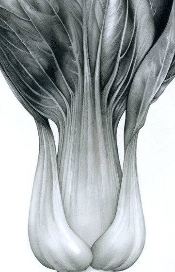 Cath Riley- Grande Bretagne- - voyage à travers l'art du monde