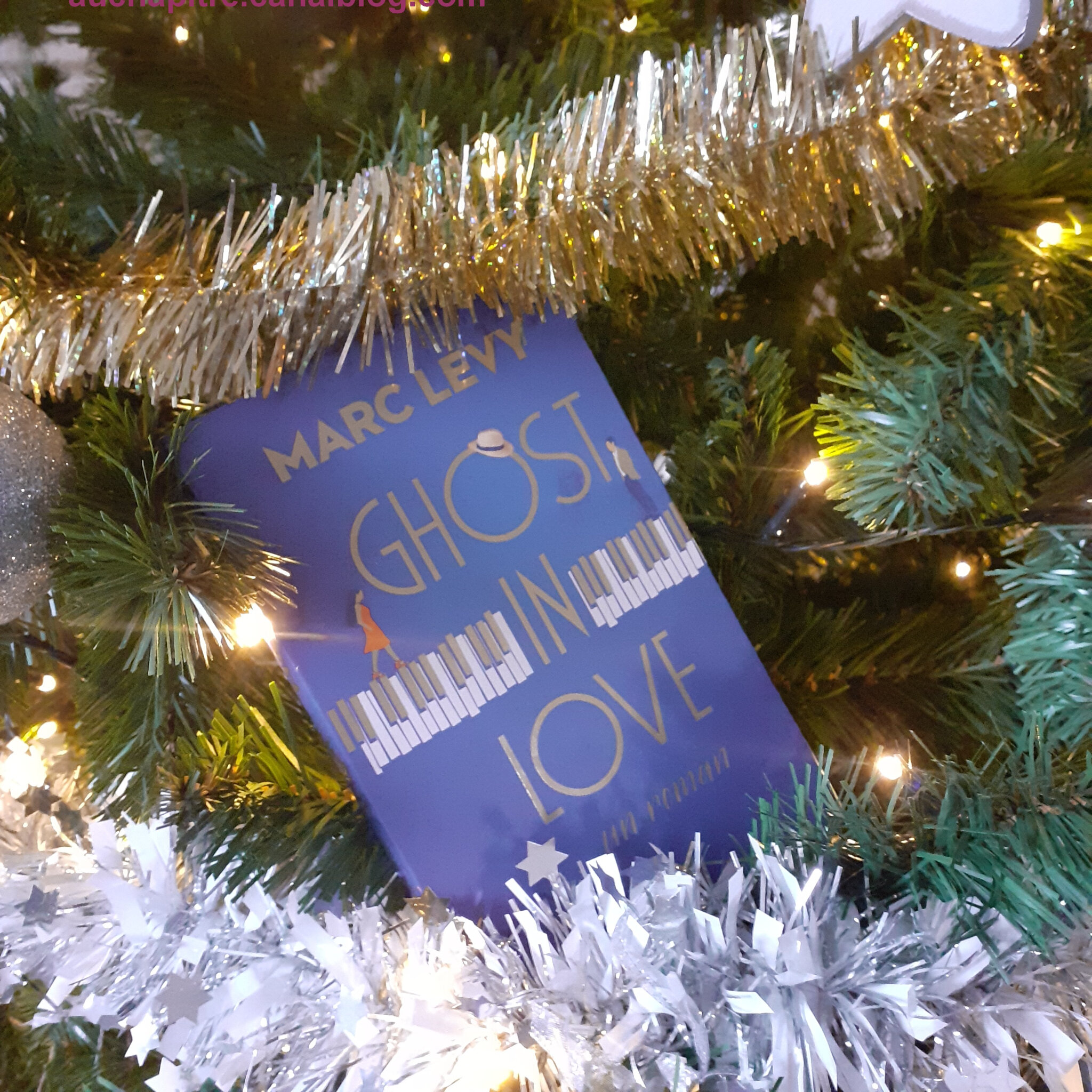 Marc Levy "Ghost in love" - Au chapitre