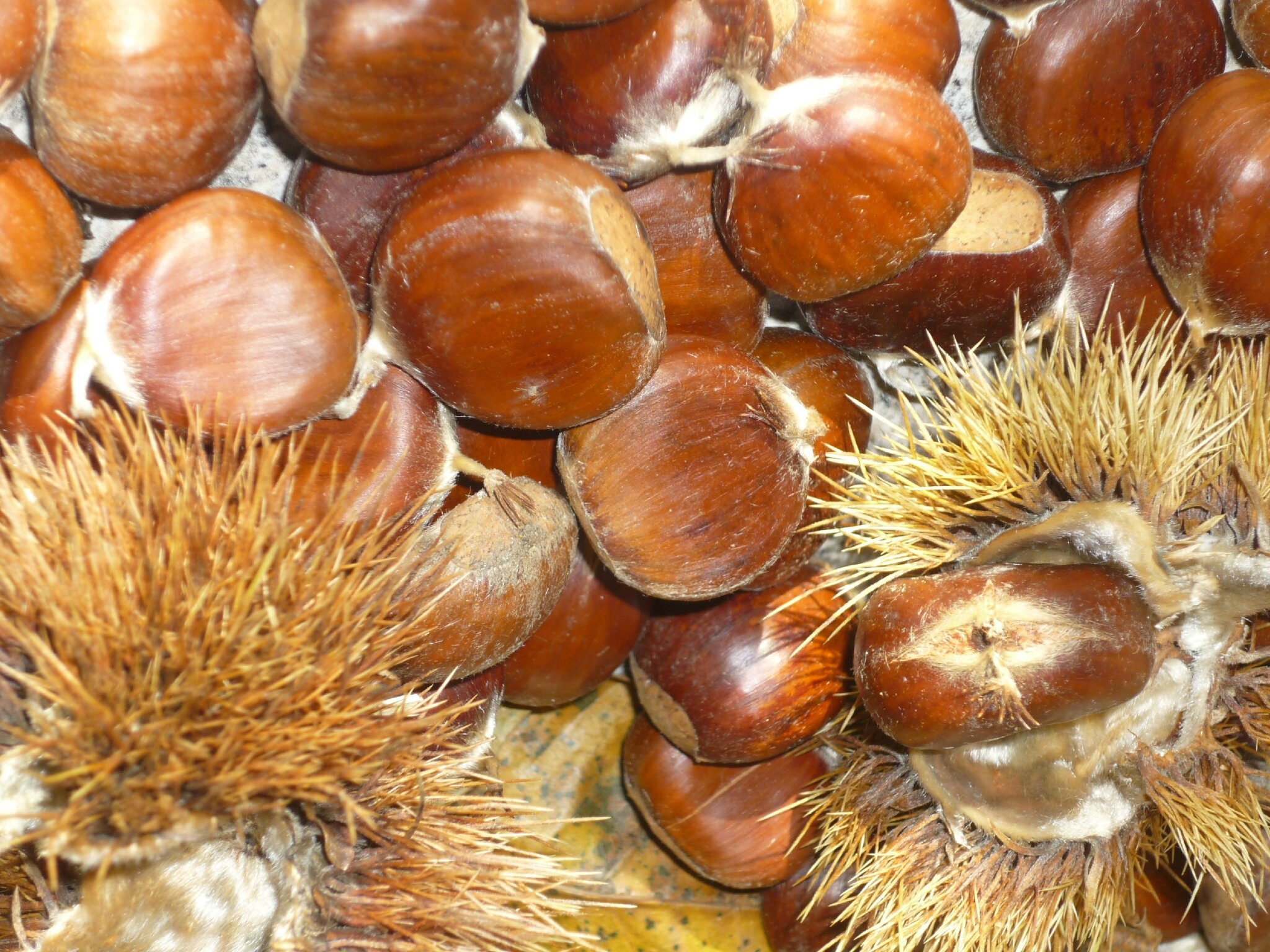 Le temps des châtaignes - Entrez dans ma cuisine...