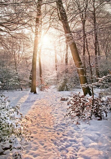 Quand il a neigé - Le cottage de Gwladys