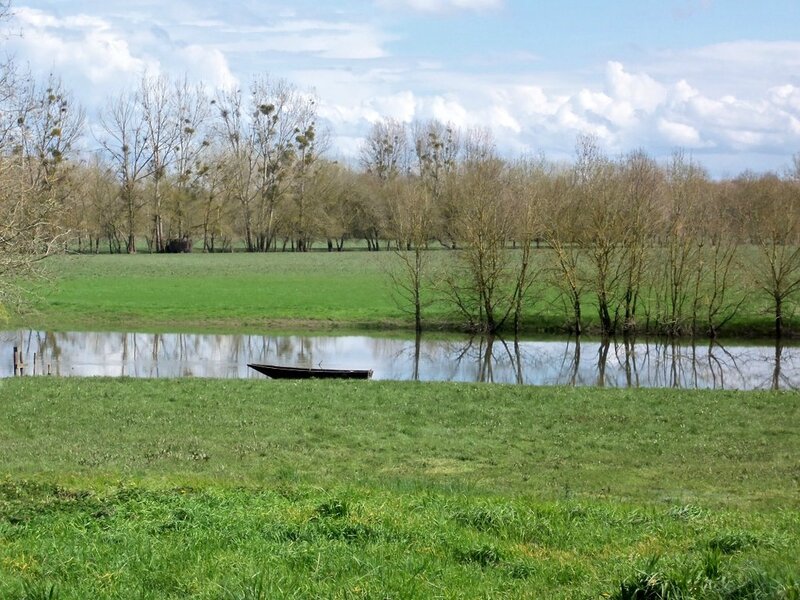 AMOUR TROUBADOUR EN CHANTANT - Quête de connaissances oubliées avec un ...