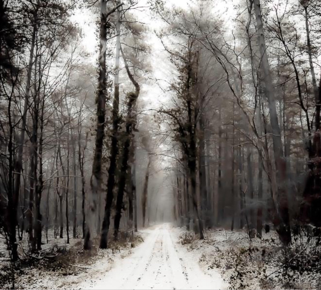 Les photos de Philippe Muller... - DE FIL EN PINCEAU