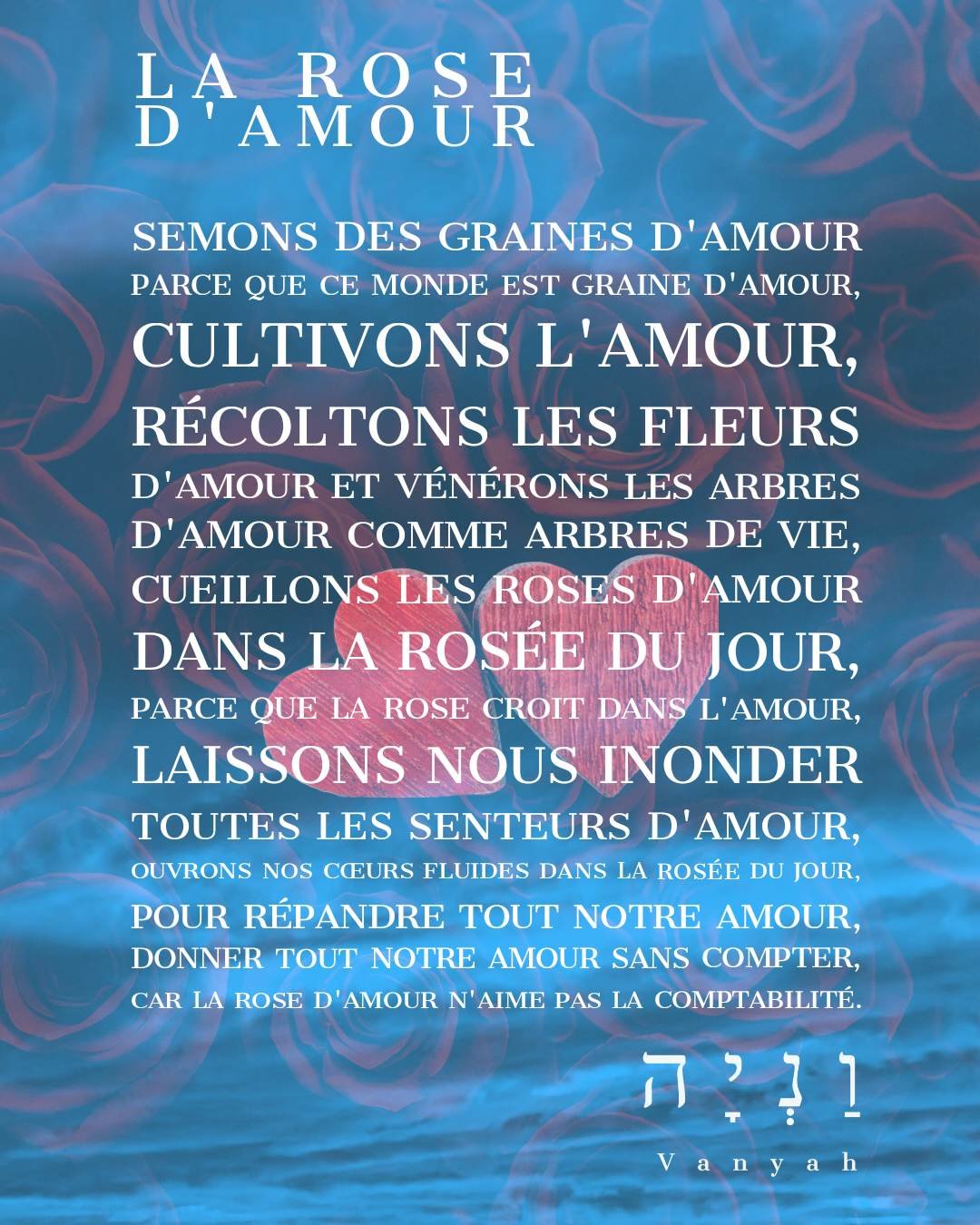 LA ROSE D'AMOUR - Culture & Vous