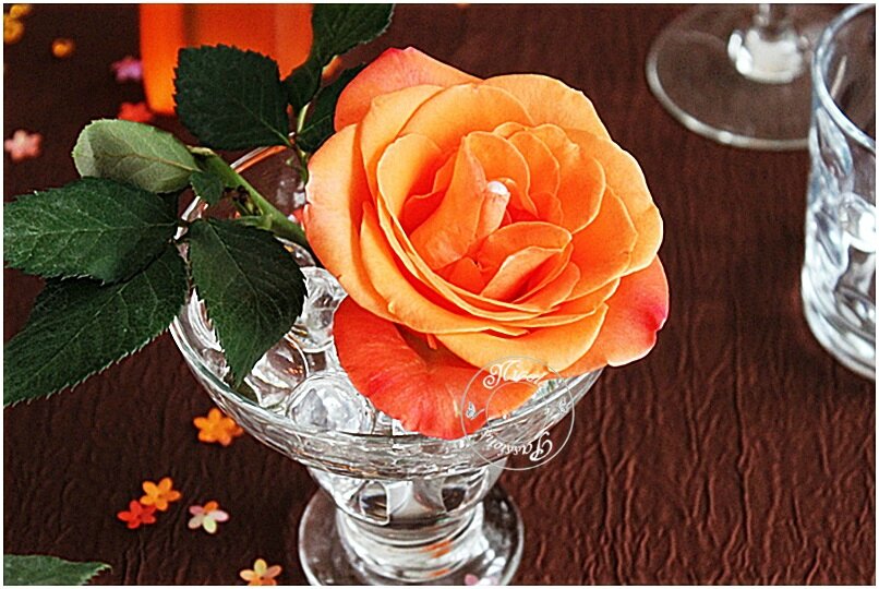 Ma table "Roses pleines de peps" - NICOLE PASSIONS