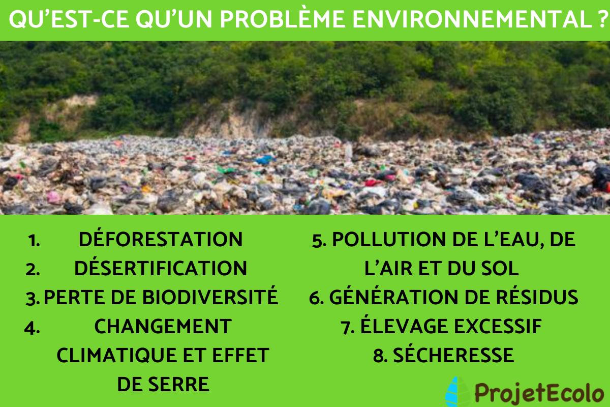 exposé sur LES PROBLÈMES ENVIRONNEMENTAUX ACTUELS - MON EXPOSE
