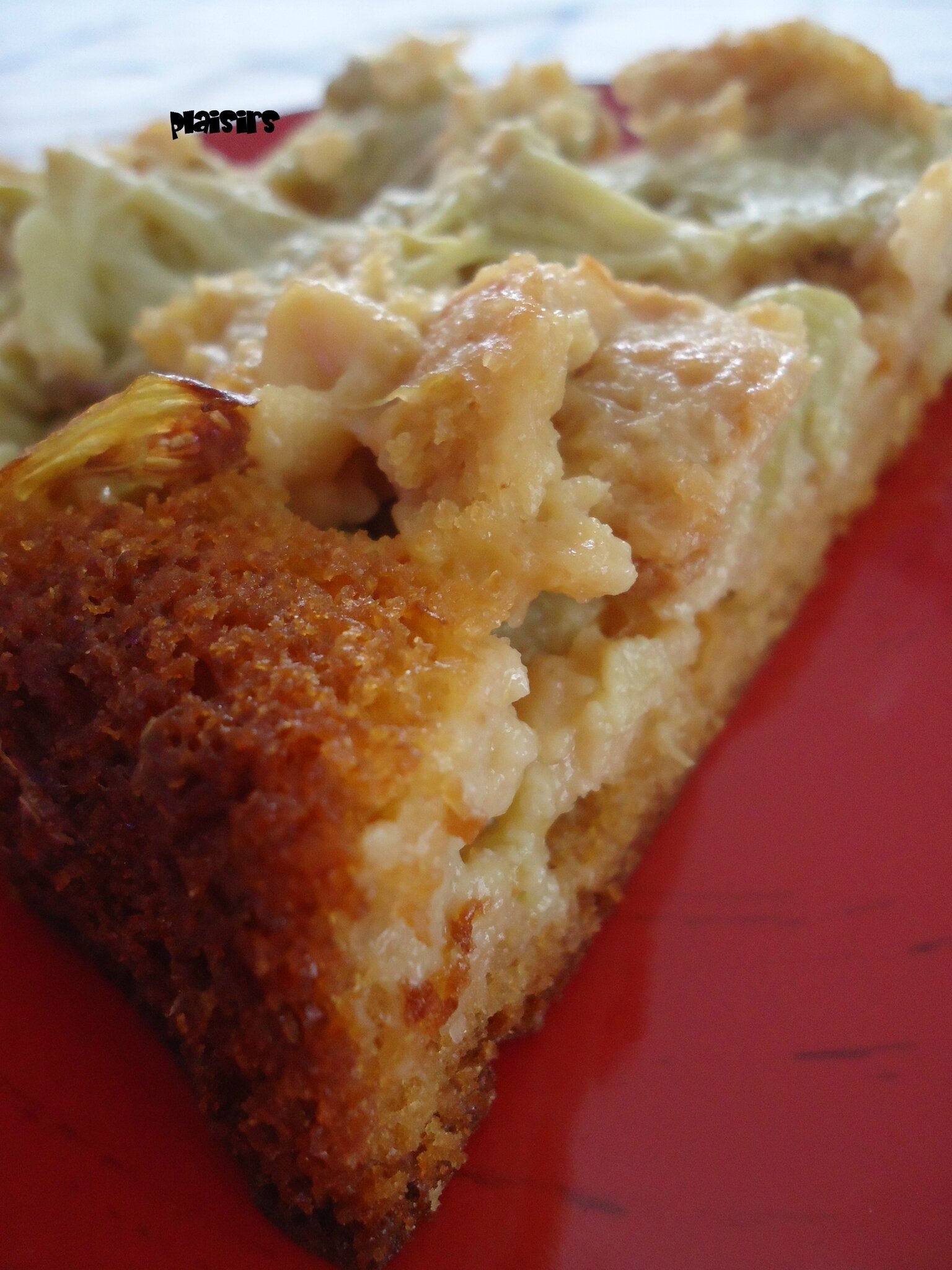 Gâteau rhubarbe - Plaisirs & joies des papilles