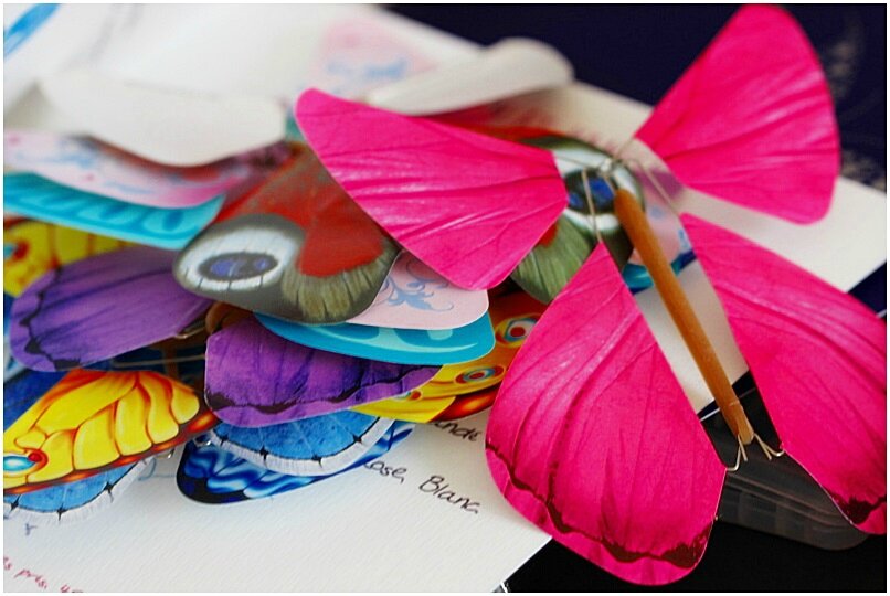 Mon grand "Coup de coeur"pour le PAPILLON MAGIQUE....Vous allez adorer ...