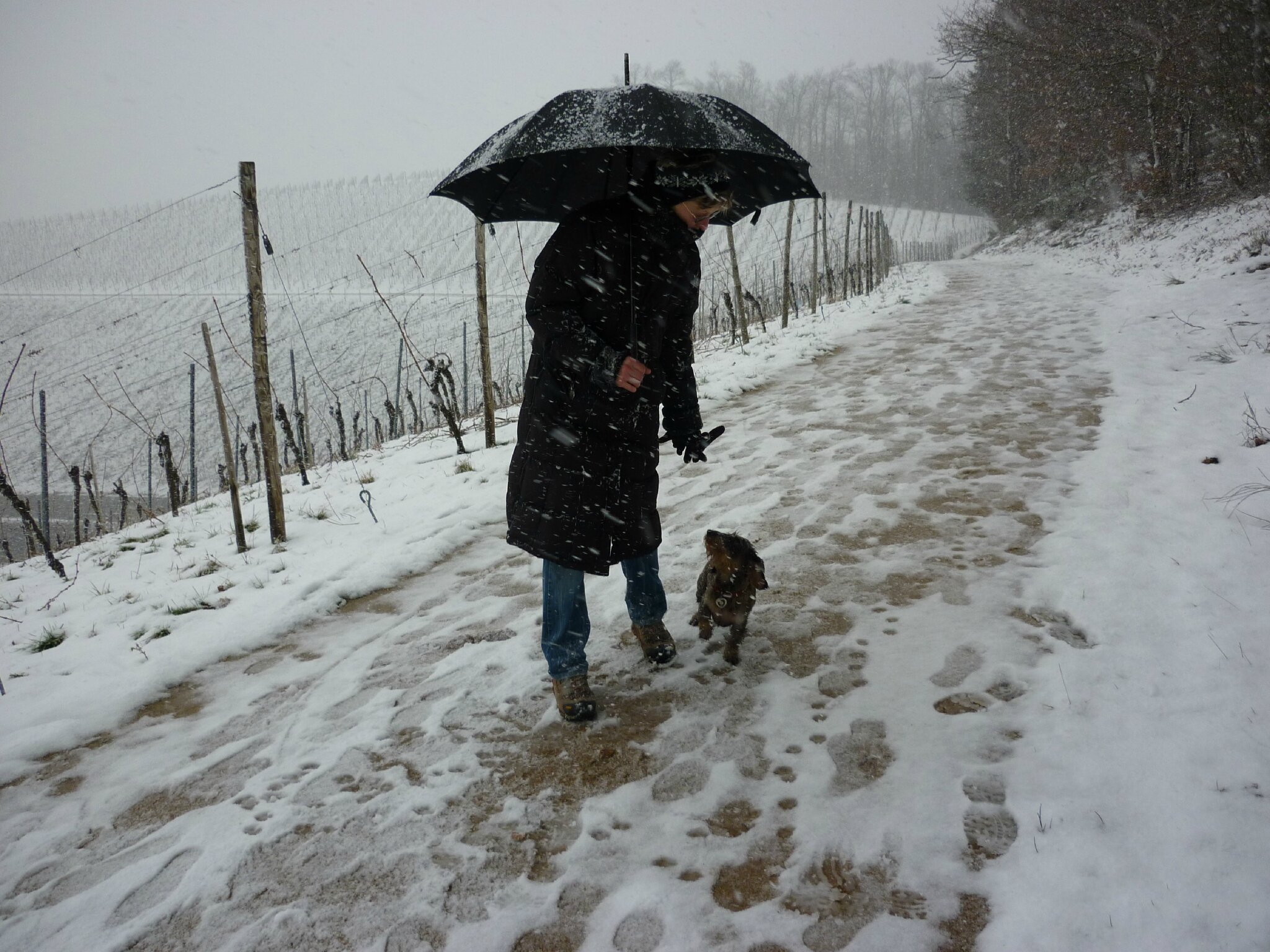 « Je ne me connais pas. Je m'imagine. » - CHARLY dit "ZIGOUIOUI"