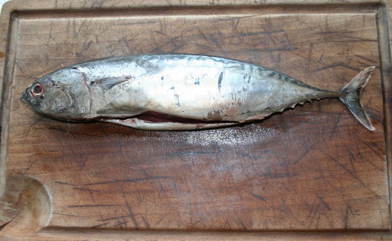 Bonite à la plancha - amafacon